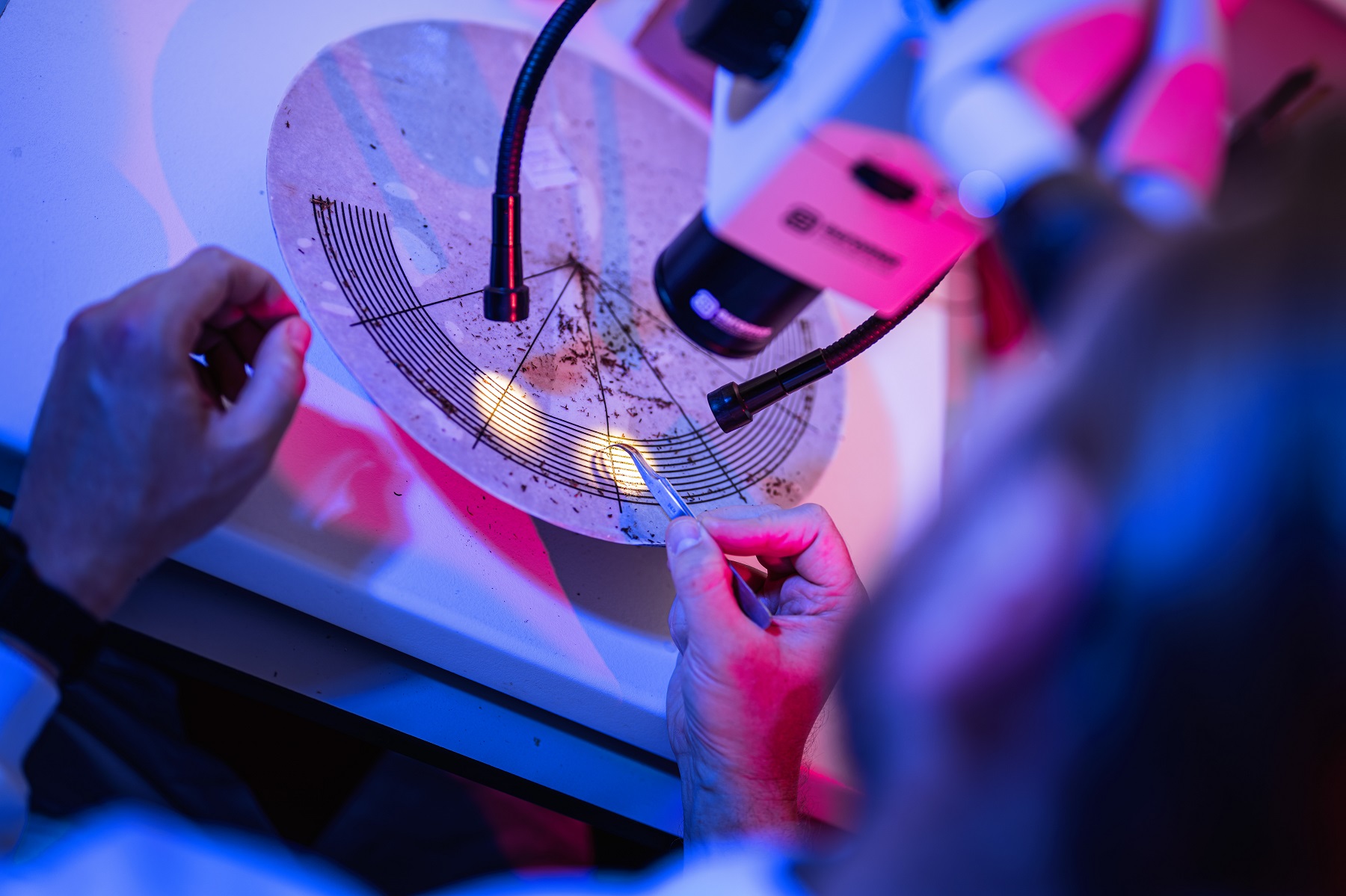 Boost for innovative climate change farm projects | SRUC