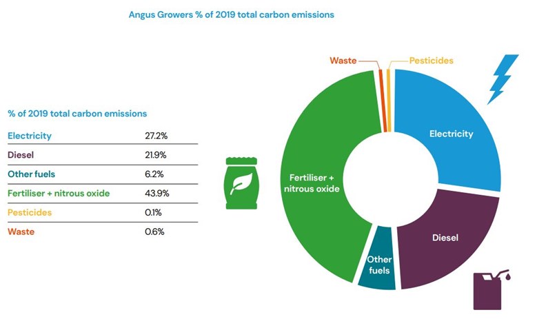 Angus Soft Fruits | SRUC