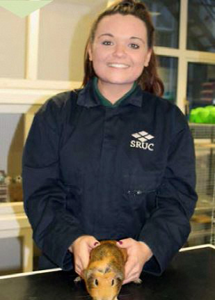 Study at SRUC | NC Animal Care