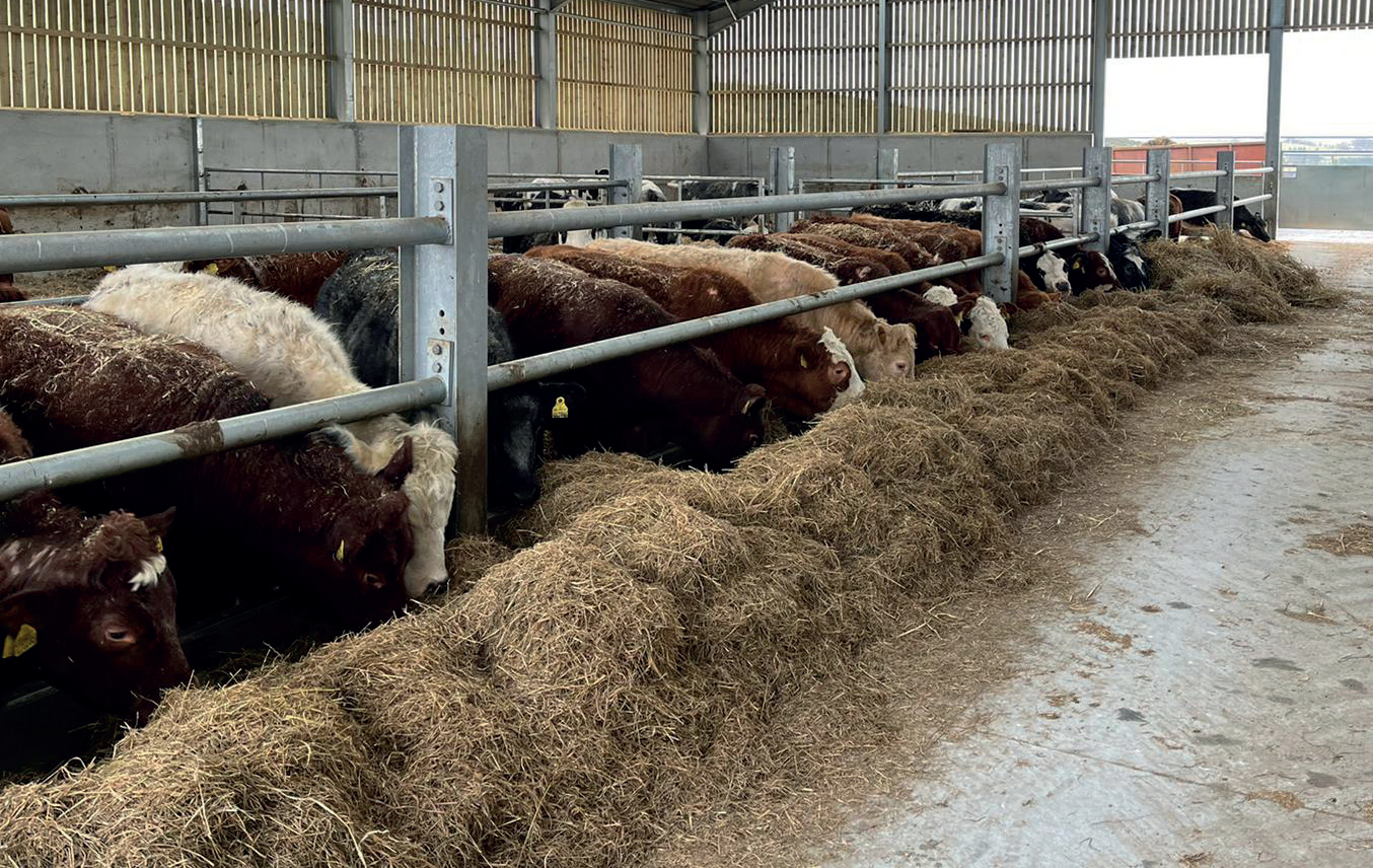 Improving On-Farm Efficiencies | SRUC