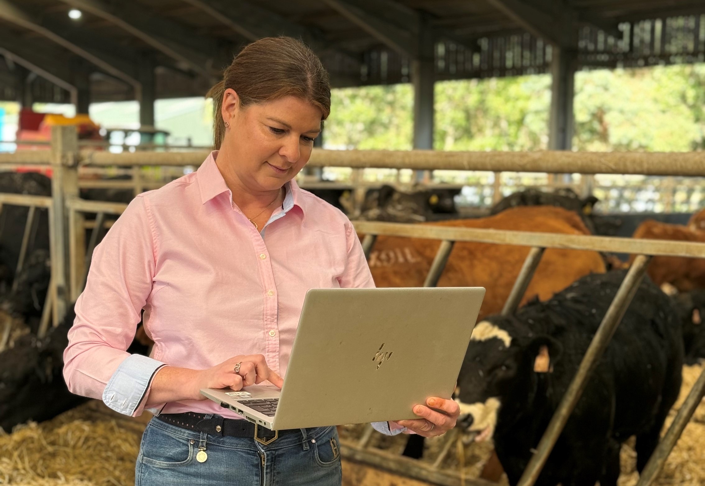New health web app to improve farm productivity | SRUC