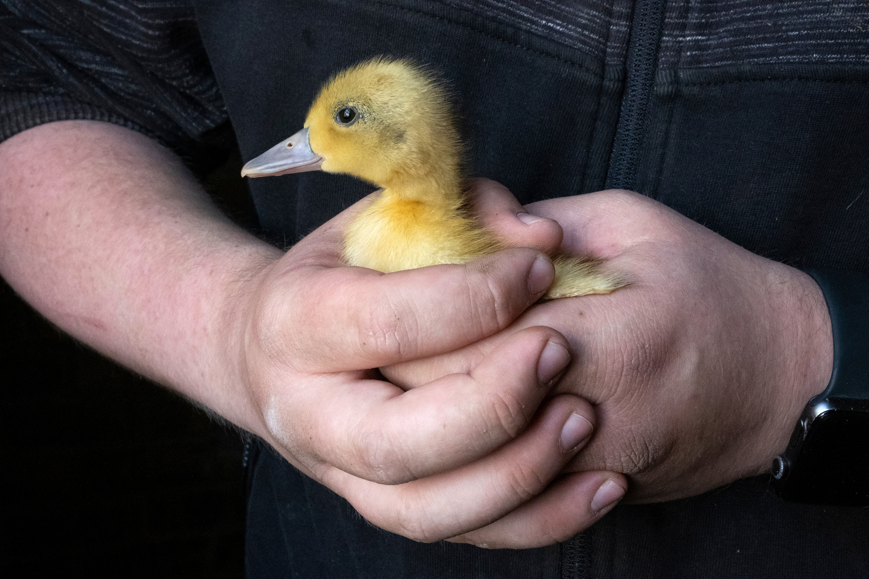 HNC Animal Care | SRUC