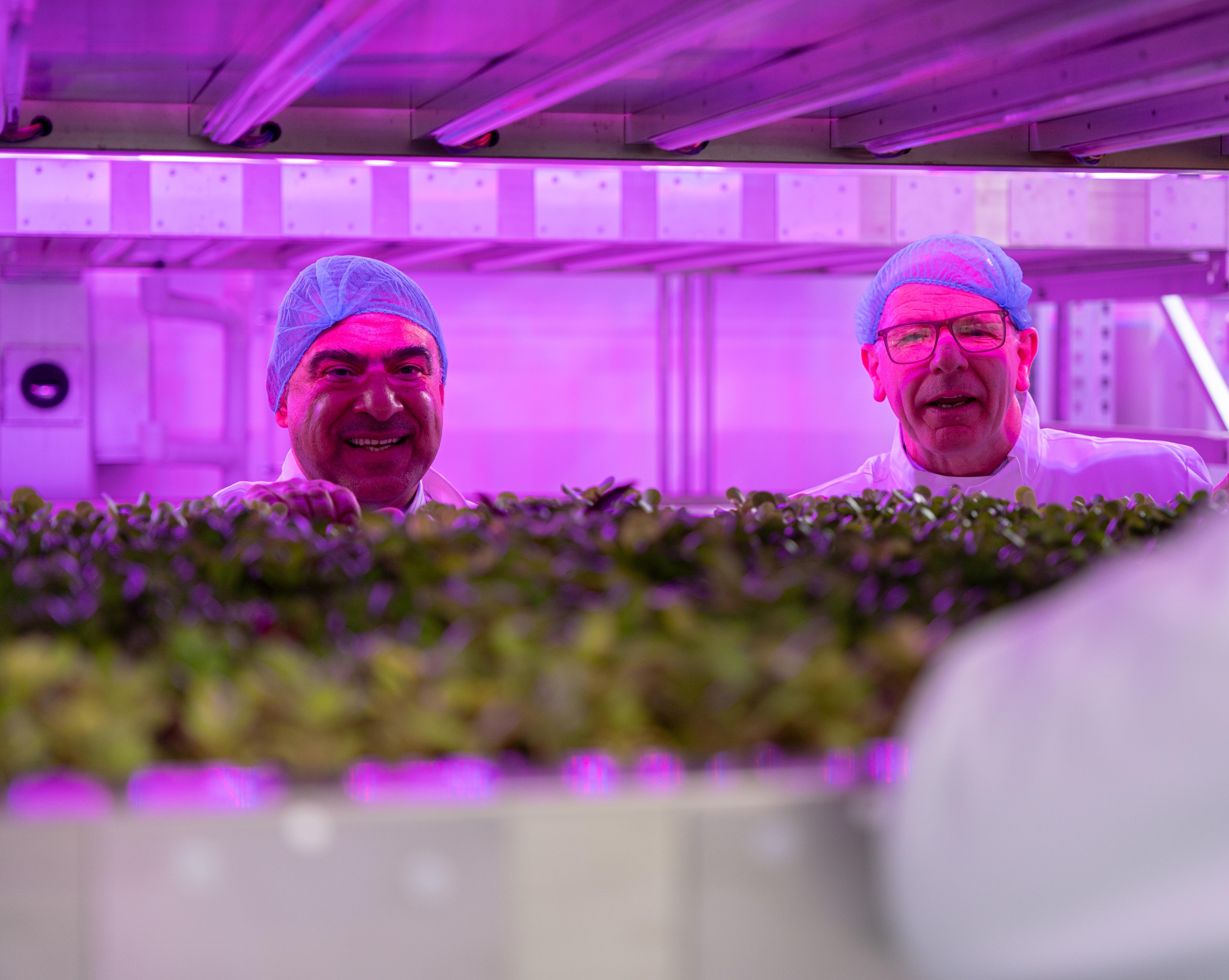 New vertical farm a first for Scottish education | SRUC