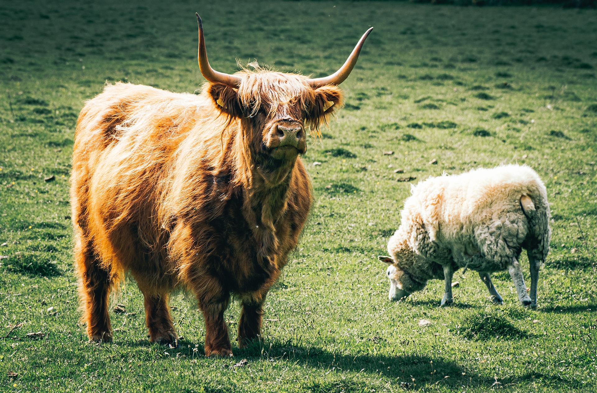 August case highlights | SRUC