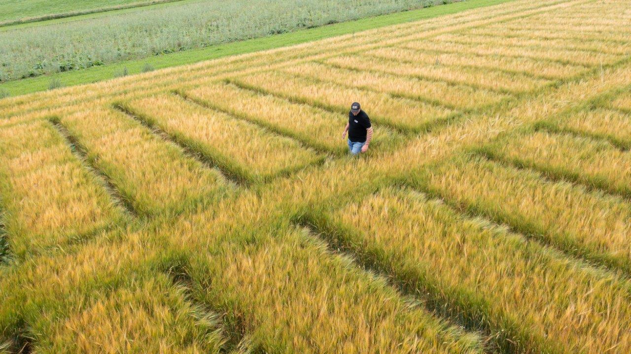 Major research investment into national land use transformation | SRUC