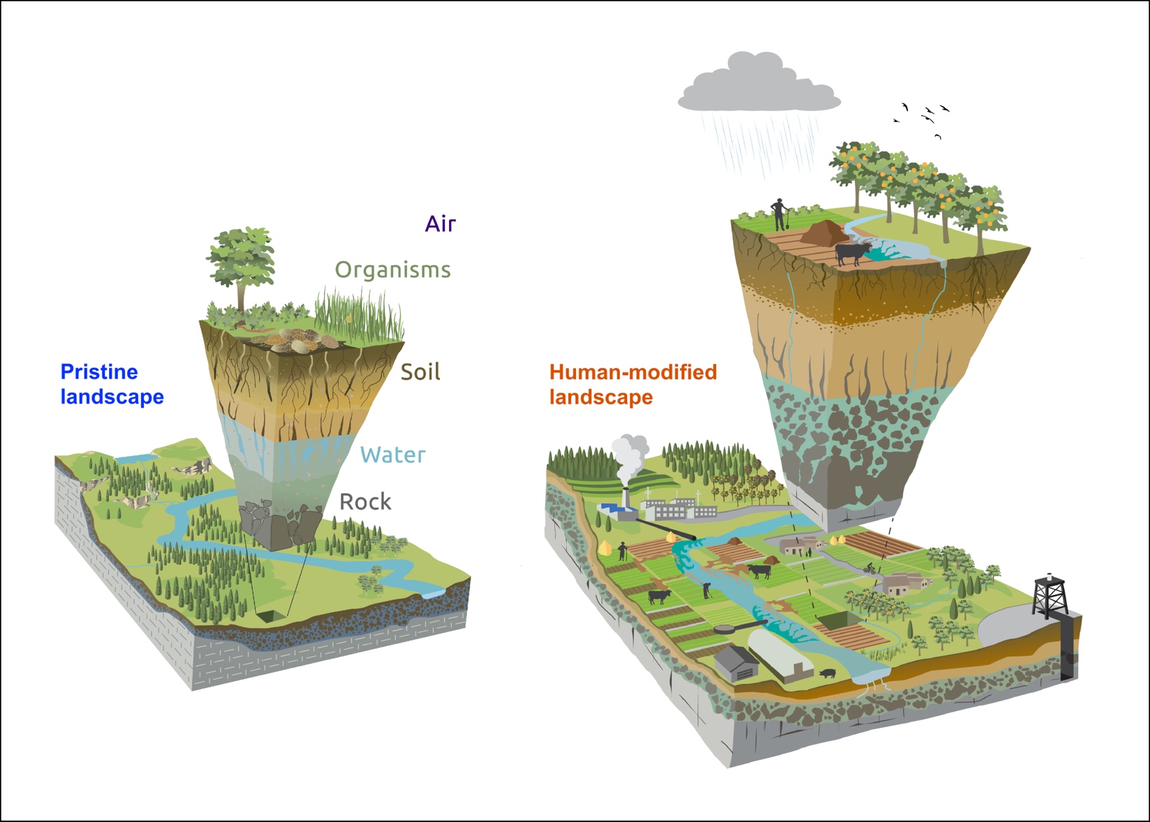 New graphic highlights human impact on the Earth’s critical zone | SRUC New graphic highlights human impact on the Earth’s critical zone | SRUC