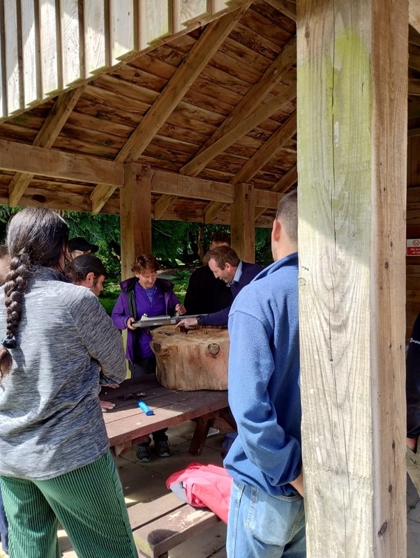 Wood Decay and Hazard Assessment of Trees Using PICUS