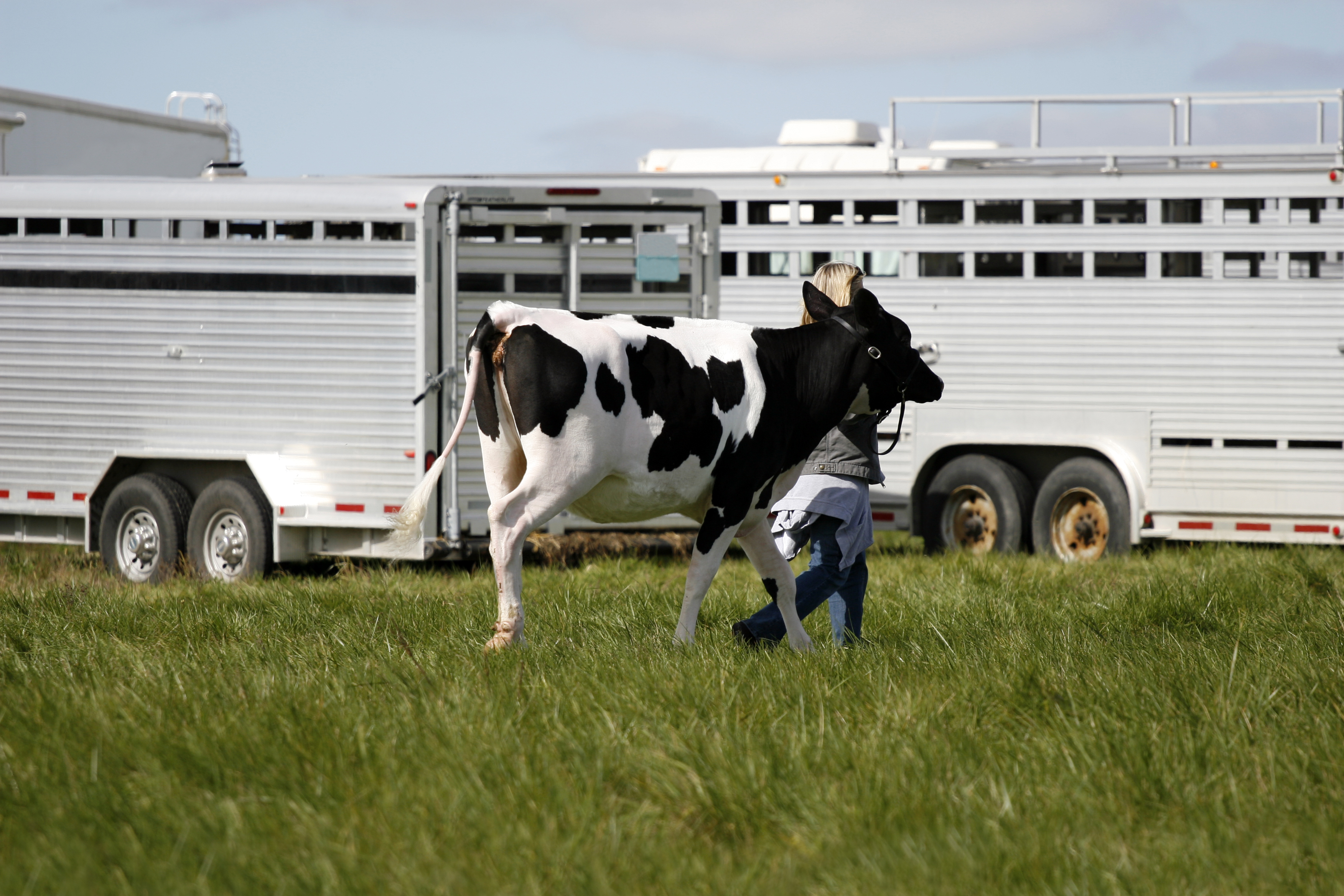 Animal Transportation Short Journey - Assessment