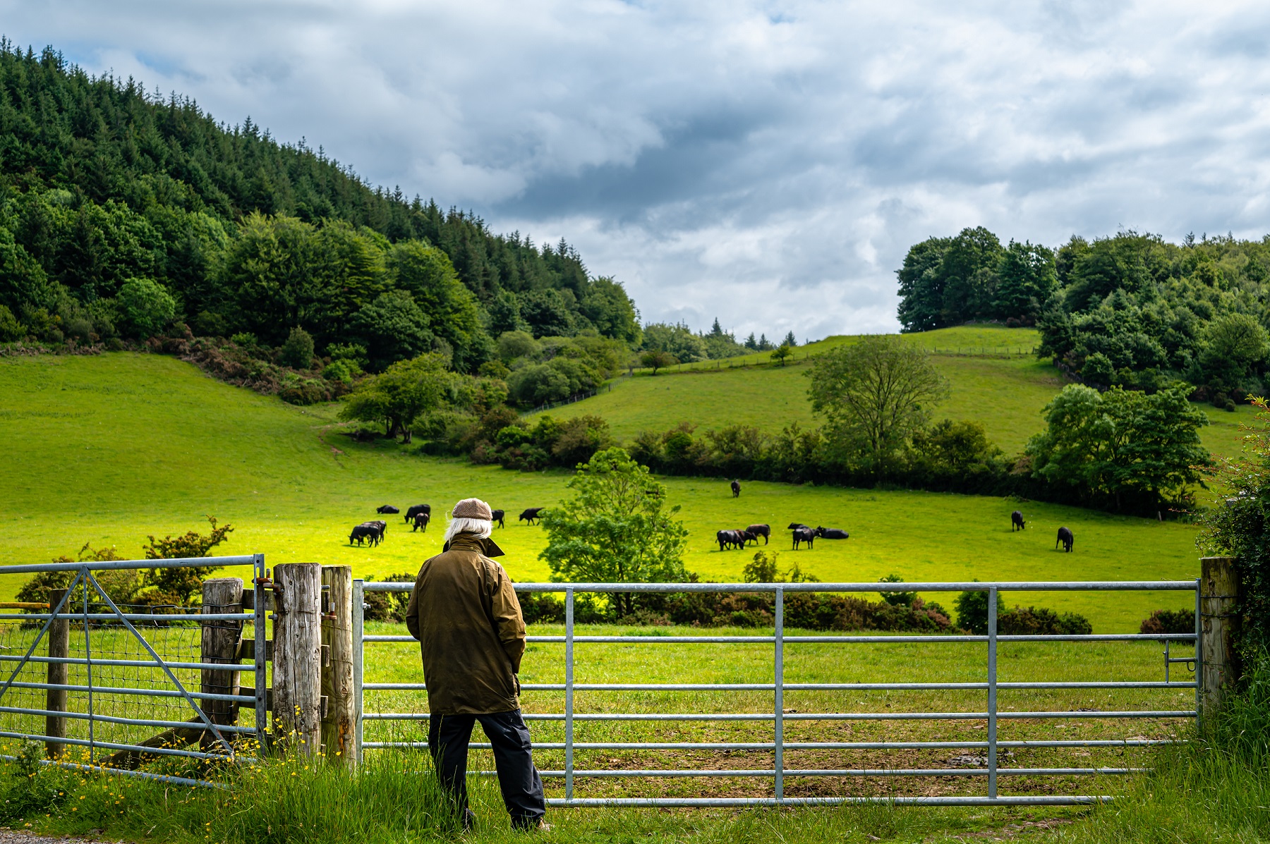 Farmers’ handbook highlights volatile farm output prices | SRUC
