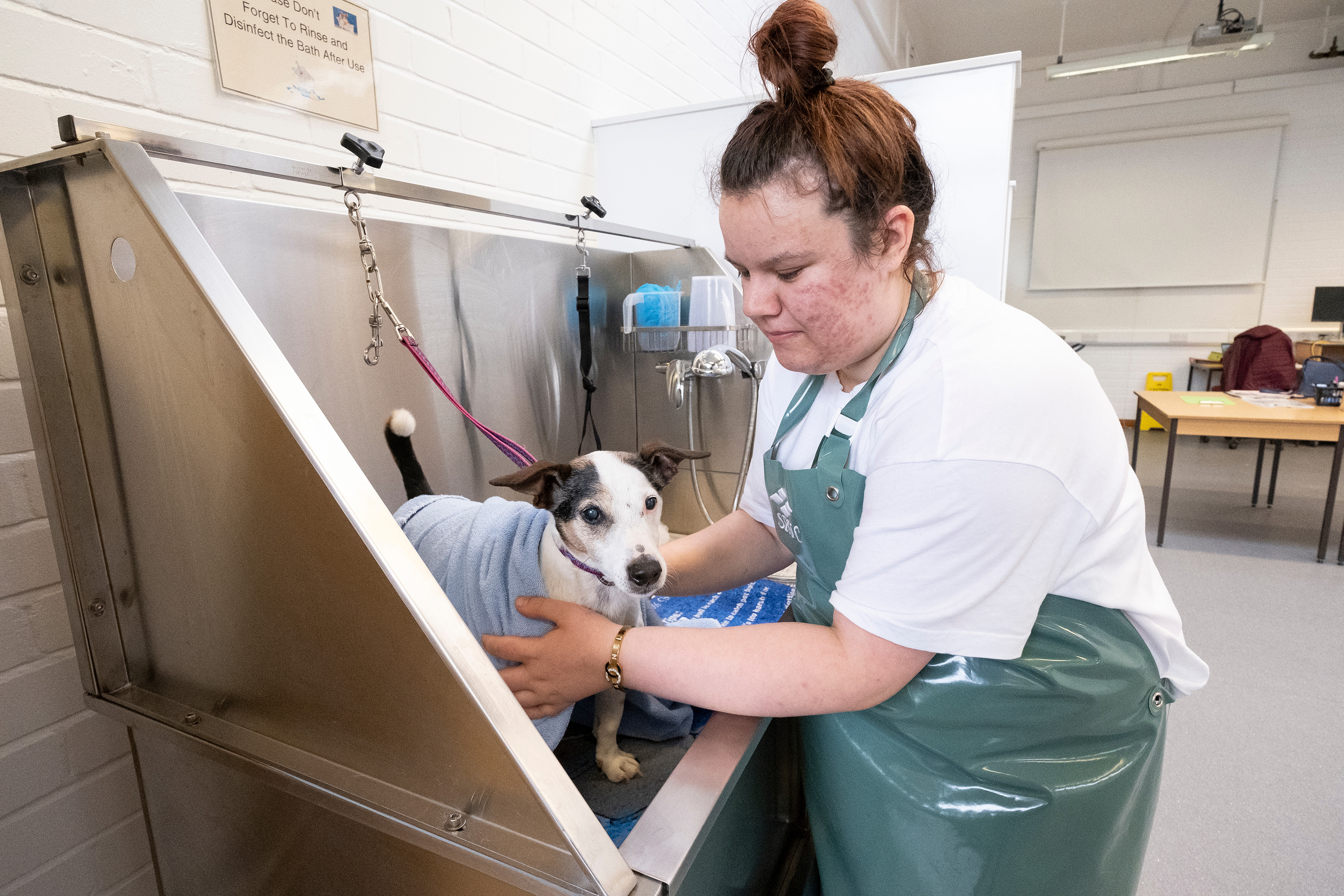 Study at SRUC | NC Animal Care