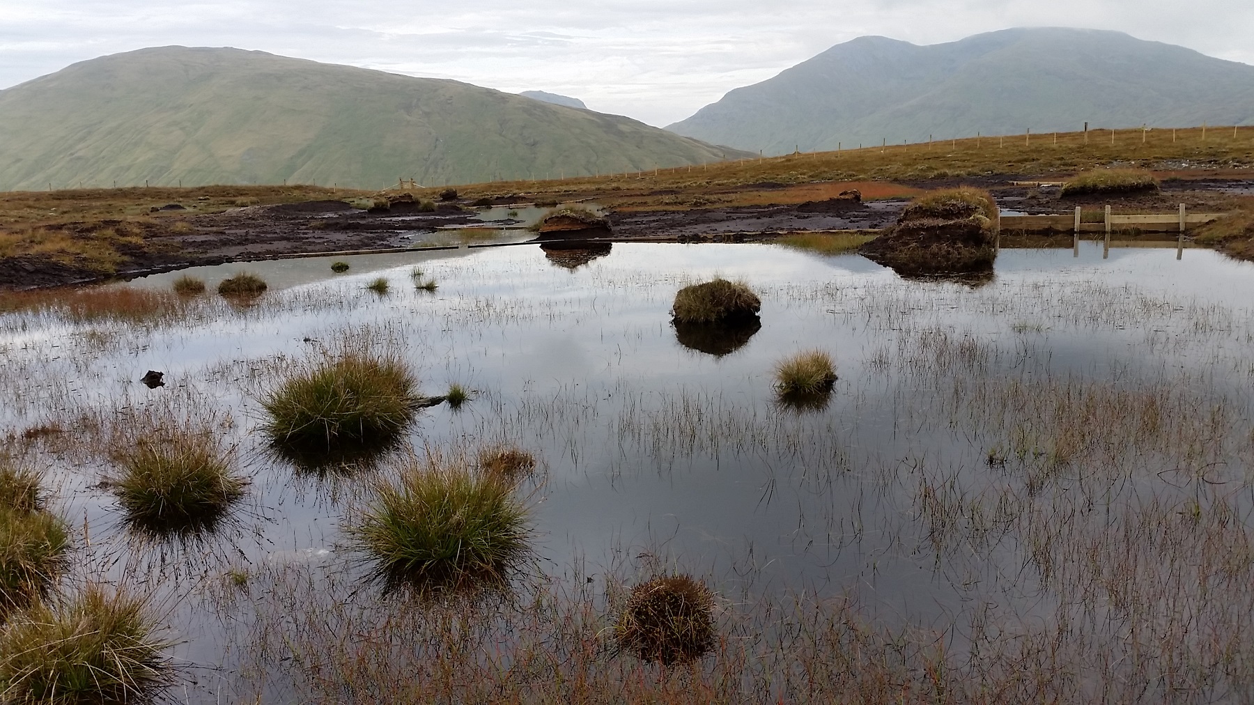 Scotland’s first peatland restoration course | SRUC