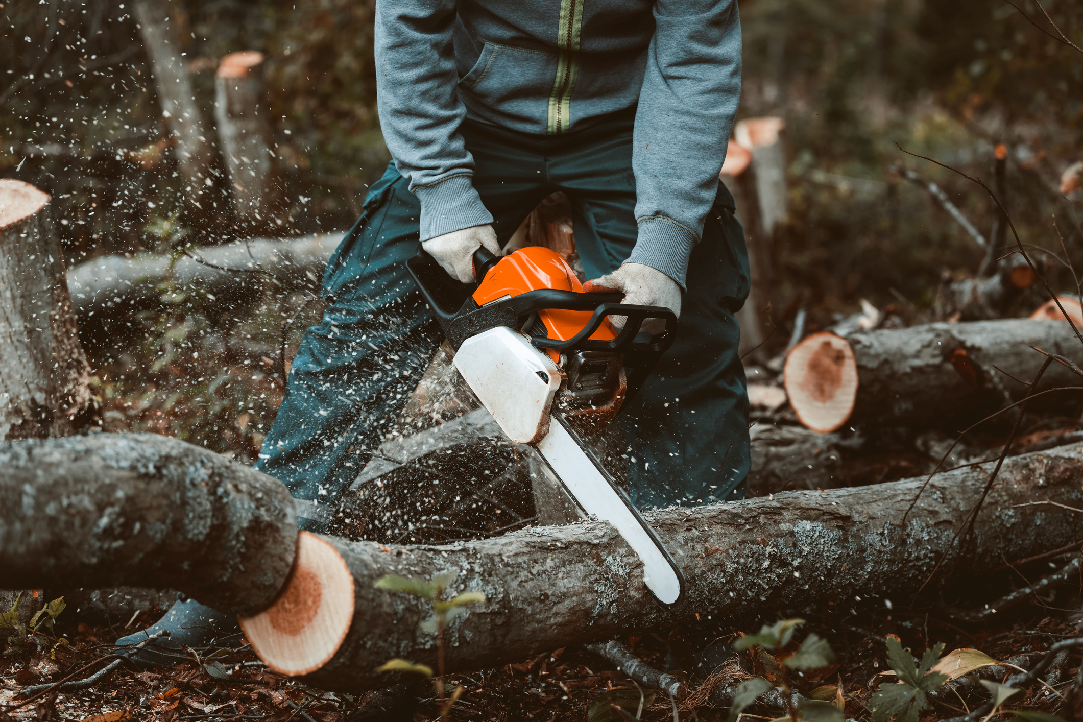 Chainsaw Maintenance, Cross-cutting and Basic Felling up to 200mm